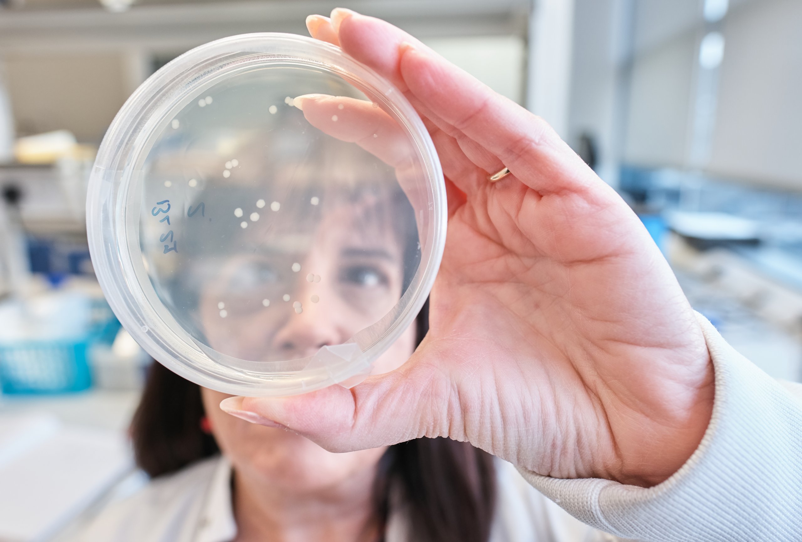 TaBriX: Anti-Infective Solutions - UoM Innovation Factory