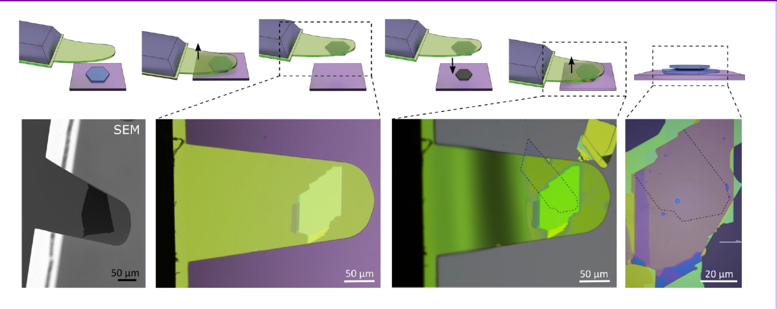 Revolutionary Breakthrough in 2D Material Transfer - UOMIF